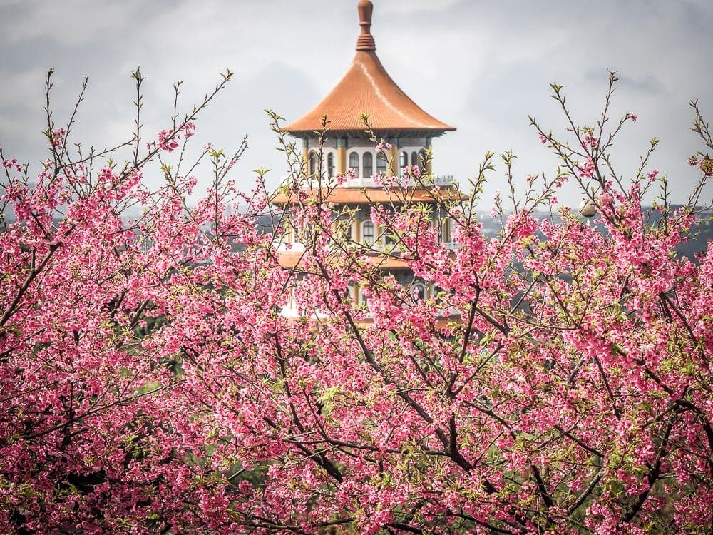 A Guide to Winter in Taiwan (& where to see snow in Taiwan ...