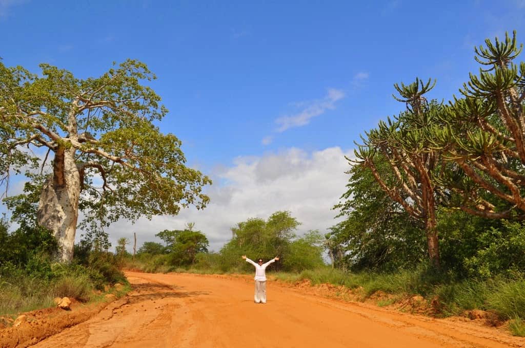 Parque do Kissama: a magia de África - O Berço do Mundo