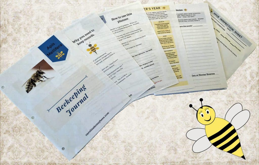 A Master Beekeeper's Guide to Bee Hive Record Keeping - Carolina Honeybees