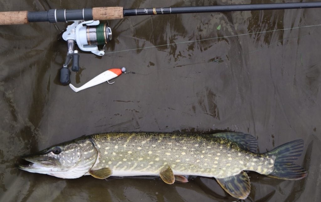 29 Juli: even snoeken