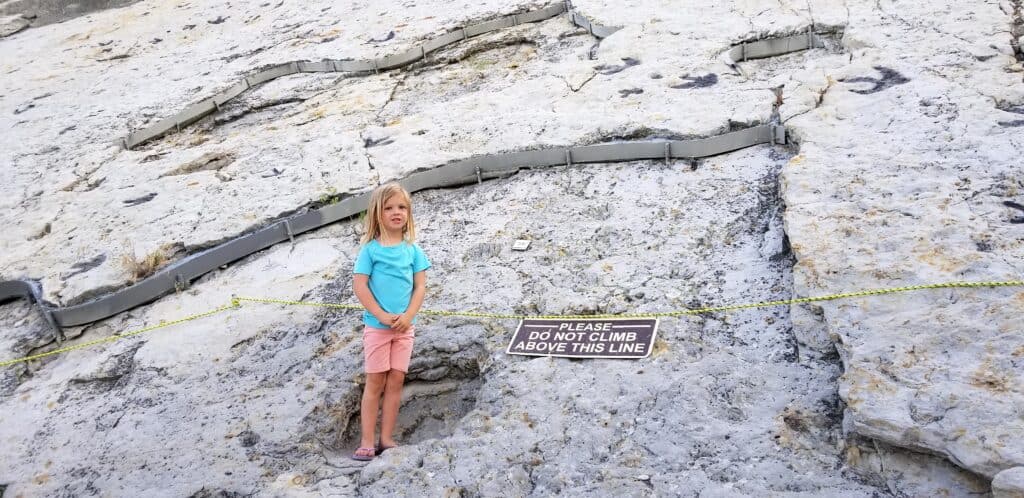 where-to-see-dinosaur-footprints-near-denver-colorado-for-free
