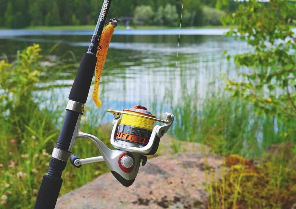 Cañas de pesca, guía completa【2020】 » Tublogdepesca