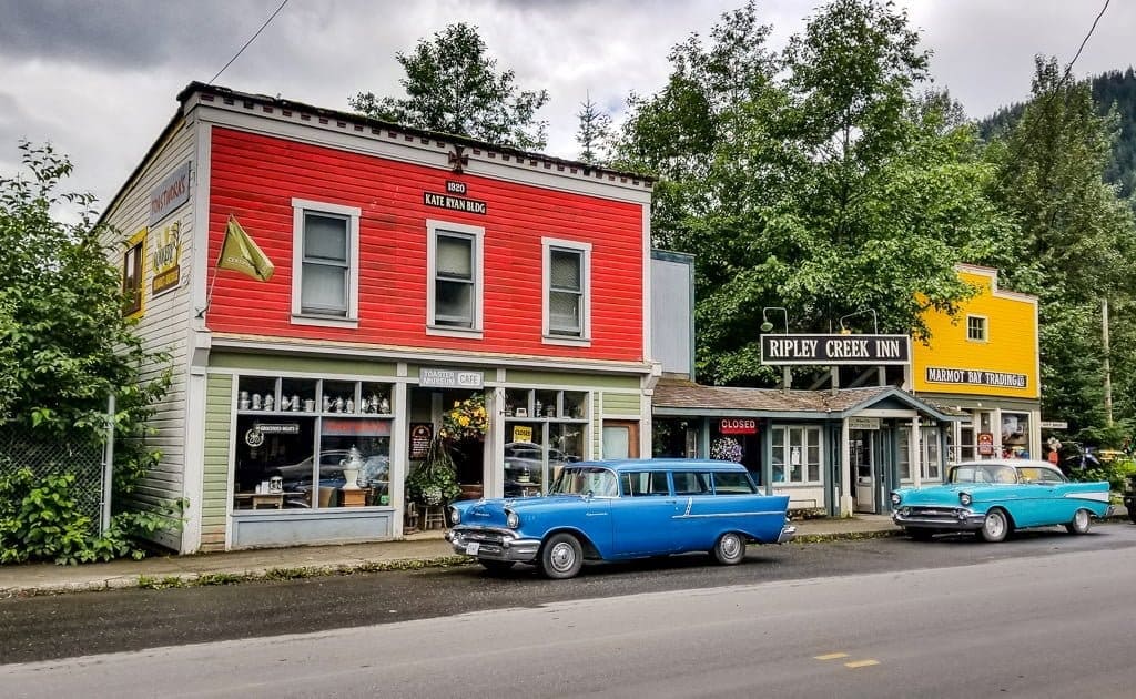 British Columbia Bear Watching: Finding the Best Spots in the Province