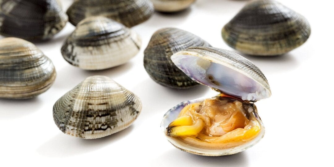 Le Vongole - Nieddittas - Le cozze del golfo di Oristano