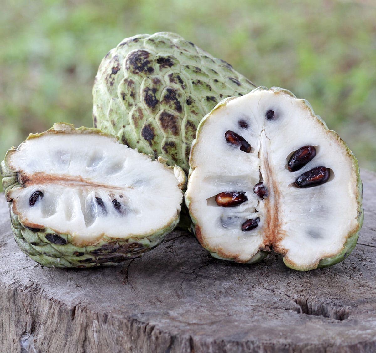 Sweet Sop - Healthier Steps