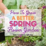 The Best Perennial Flowers for Early Spring - The Farm Girl Gabs®