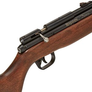 The 13 Best Pellet and BB Air Guns for Hunting and Self Defense 2018