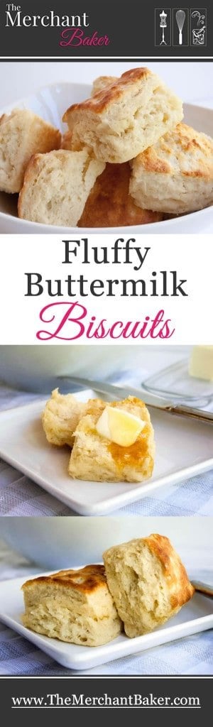 Fluffy Buttermilk Biscuits - The Merchant Baker