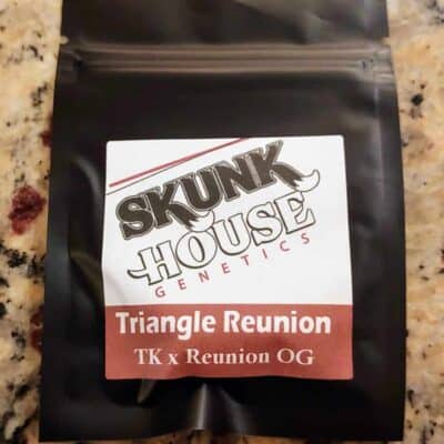 Skunk House Genetics - Luscious Genetics
