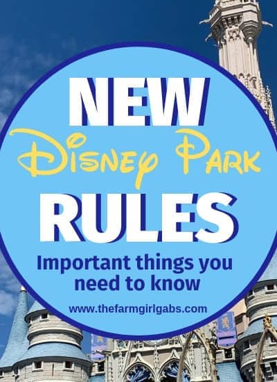 Walt Disney World Archives - Page 3 of 8 - The Farm Girl Gabs®