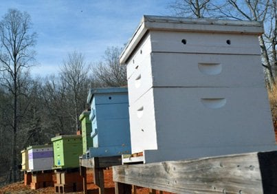 Parts of a Beehive - Identifying What You Need - Carolina Honeybees
