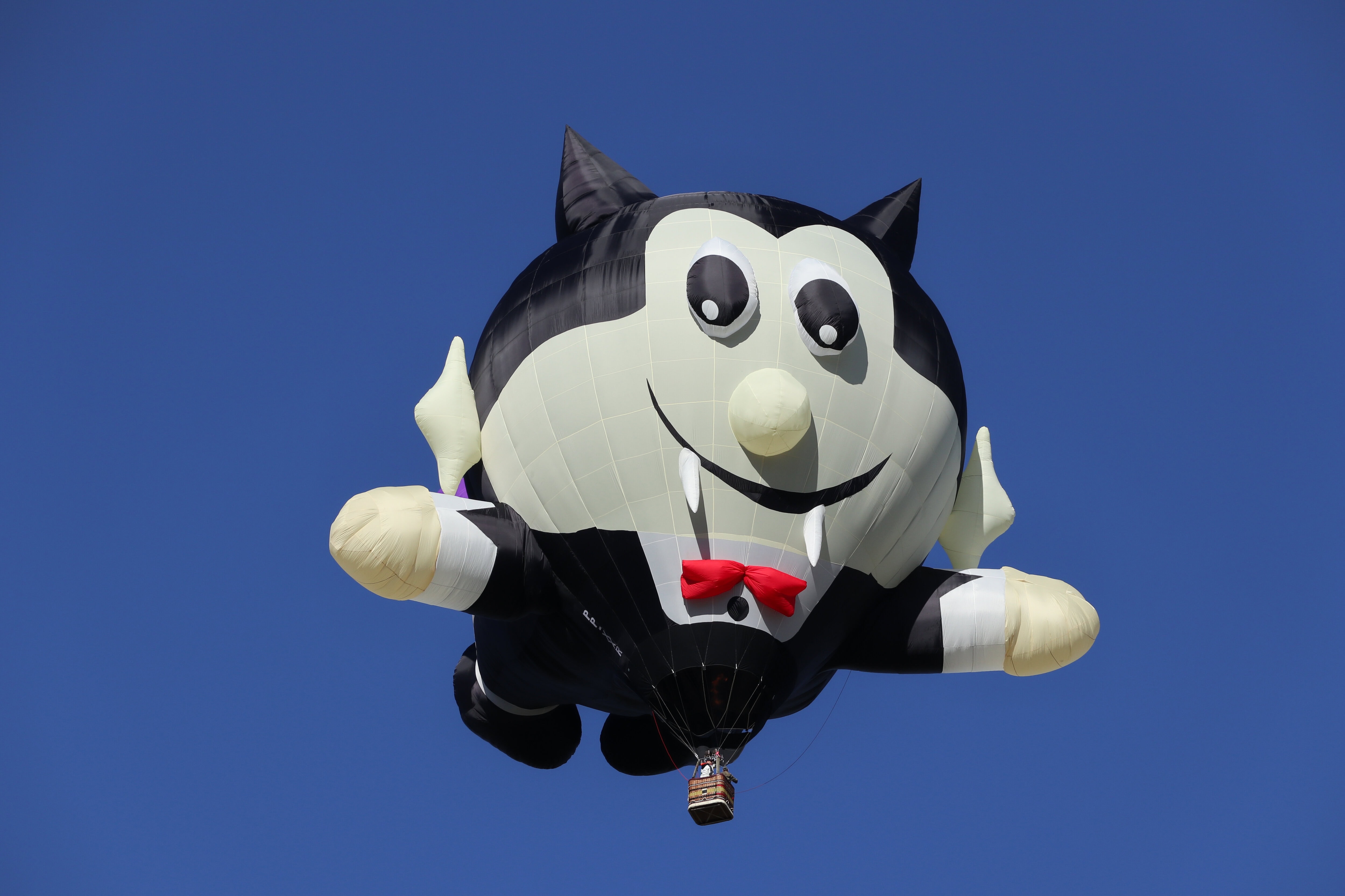 Our 20 Favorite Balloons at the Albuquerque Balloon Fiesta | Travel To ...