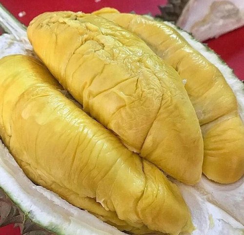 Ini Dia Jenis serta Ciri-Ciri Durian yang Banyak Dicari | Pak Tani Digital