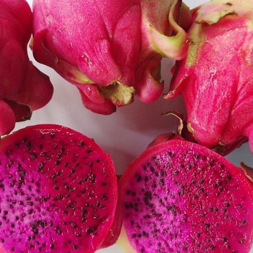 Fruit du dragon / Pitaya ️ le fruit exotique mystérieux | Cactus encyclo