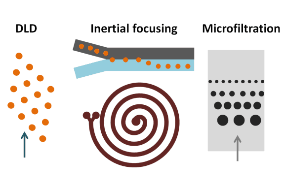 Microfluidic cell sorters: Highly accurate, affordable, and ...
