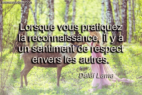 Lorsque vous pratiquez la reconnaissance… – Citation – Animassiettes