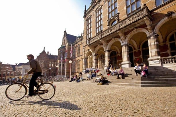 The 5 Best Business Schools in The Netherlands for 2020