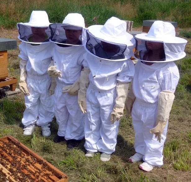 Beekeeping Protective Clothing - Do You Need a Beekeeper's Suit ...