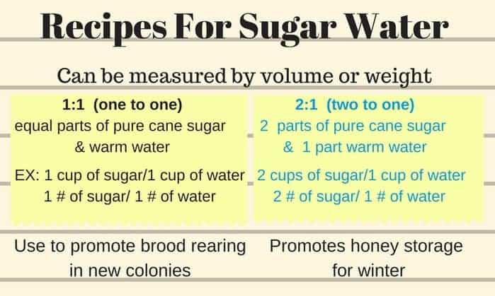 Feeding Bees Sugar Water- How & Why - Carolina Honeybees