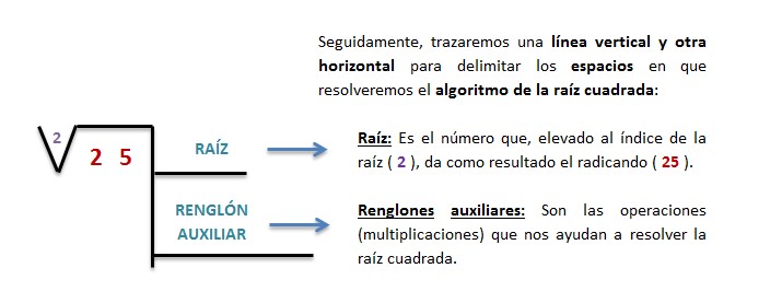 💙 RAÍCES CUADRADAS 💙 Sexto Educación Primaria