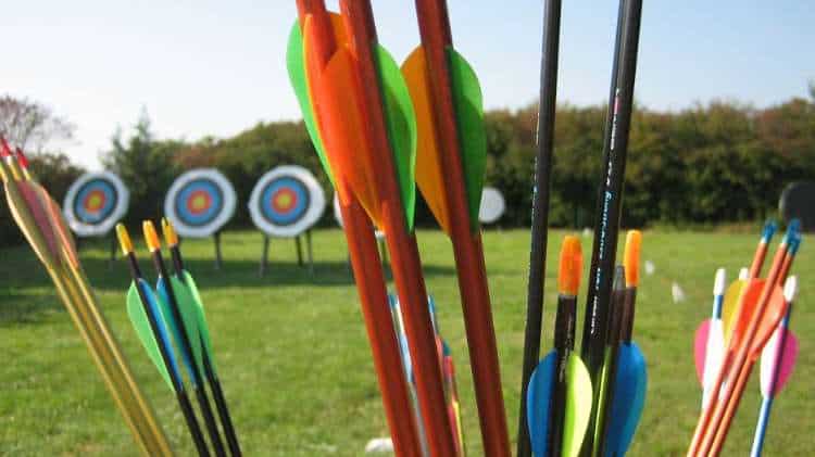 Wicked and deadly : What you need to know about types of arrows and ...