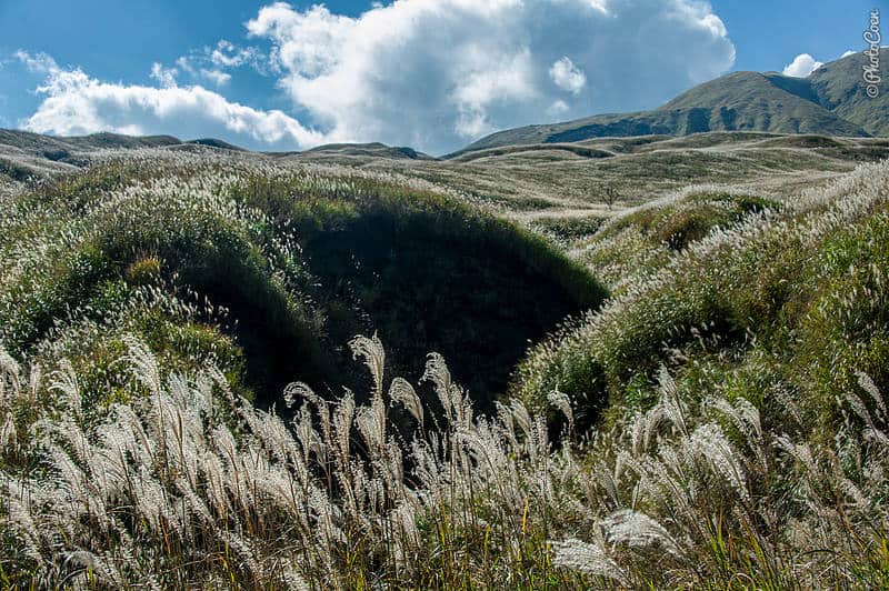 Loving Kyushu Island & Repairing our First Fender Bender (Where Are We ...