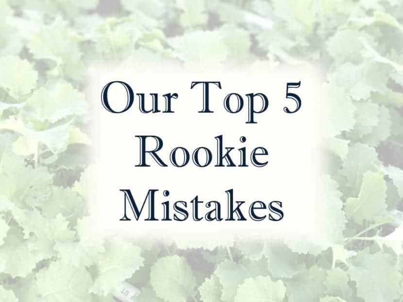Our 5 Biggest Rookie Mistakes in the Garden - From Seed to Spoon ...