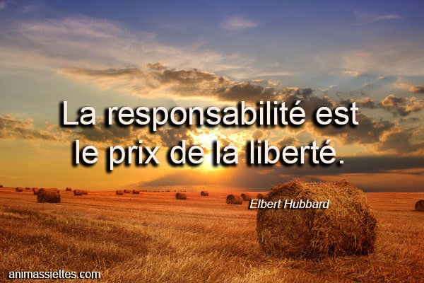 La responsabilité est… – Citation – Animassiettes