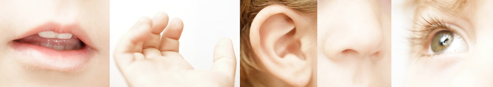 Sprachstörungen bei Kindern | Theralingua.de - Logopädie