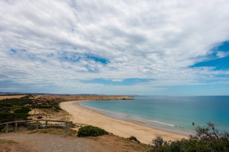 What to do in South Australia - Wandering the World
