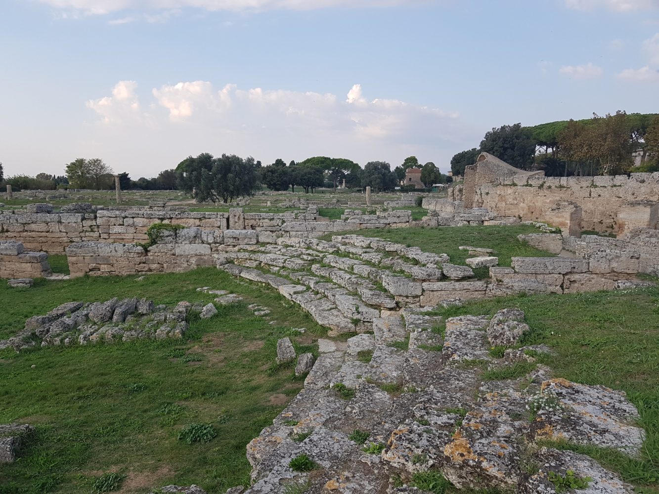 Il Parco Archeologico di Paestum, a passeggio nella valle dei Templi