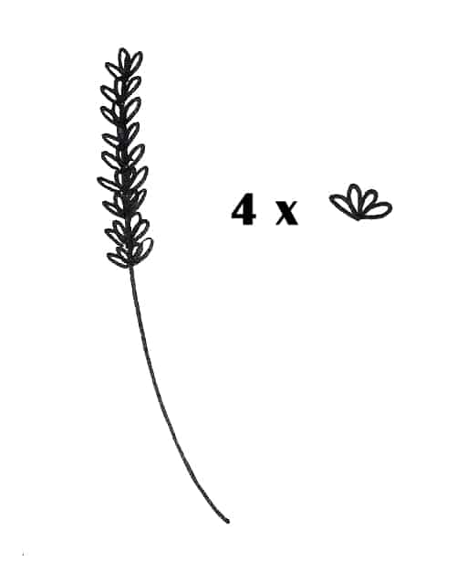 Lavender Drawing - 7 Easy Steps To A Perfect Lavender Doodle