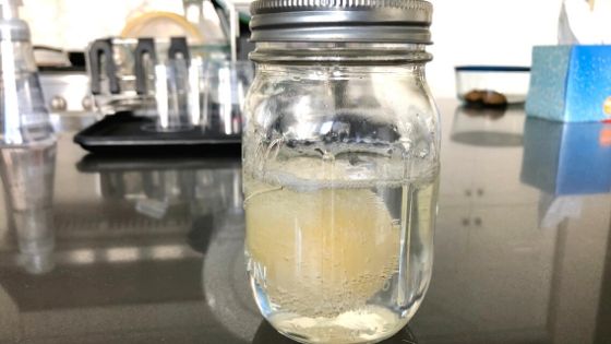 Bouncy Egg: Cool Science Experiment for Kids | Mombrite