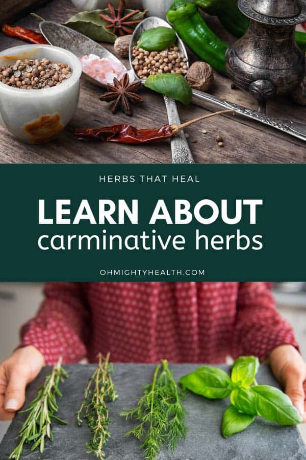 Carminative Herbs | OhMightyHealth