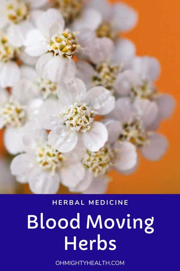 Blood Moving Herbs | OhMightyHealth