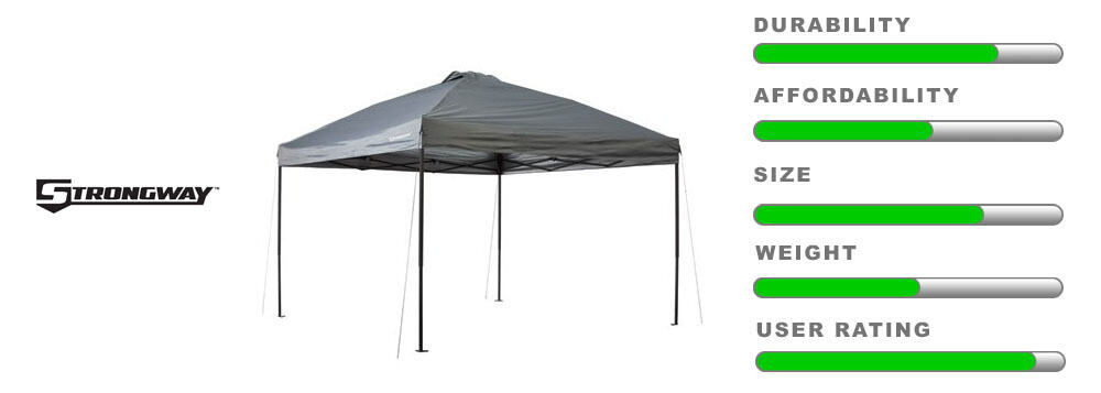 Mobile Detailing Canopies 101 [Plus Recommendations]