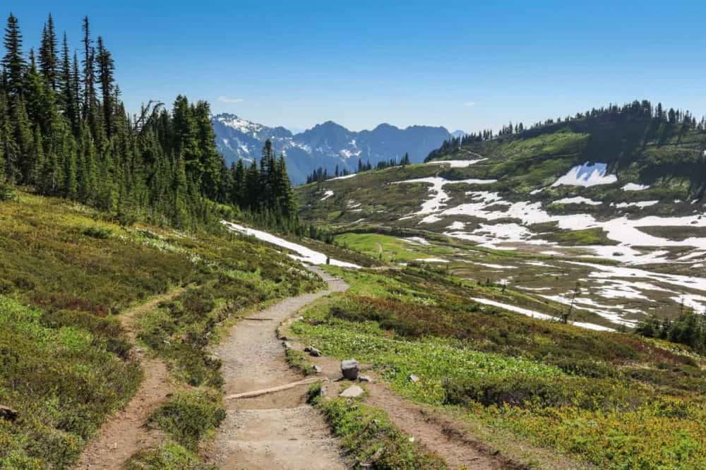 6 Best Mount Rainier Hikes & Trails | The National Parks Experience
