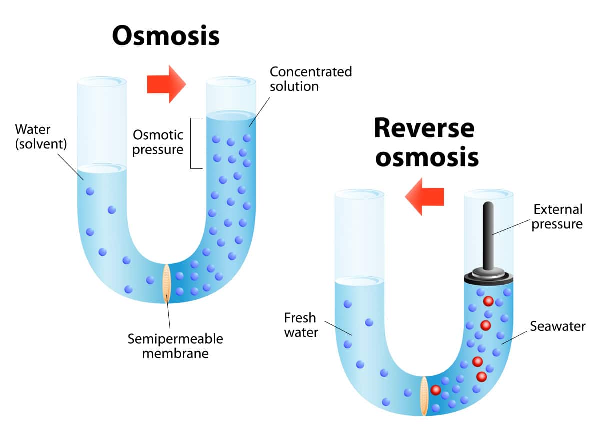 How Does Reverse Osmosis Work? The Complete Guide on RO!
