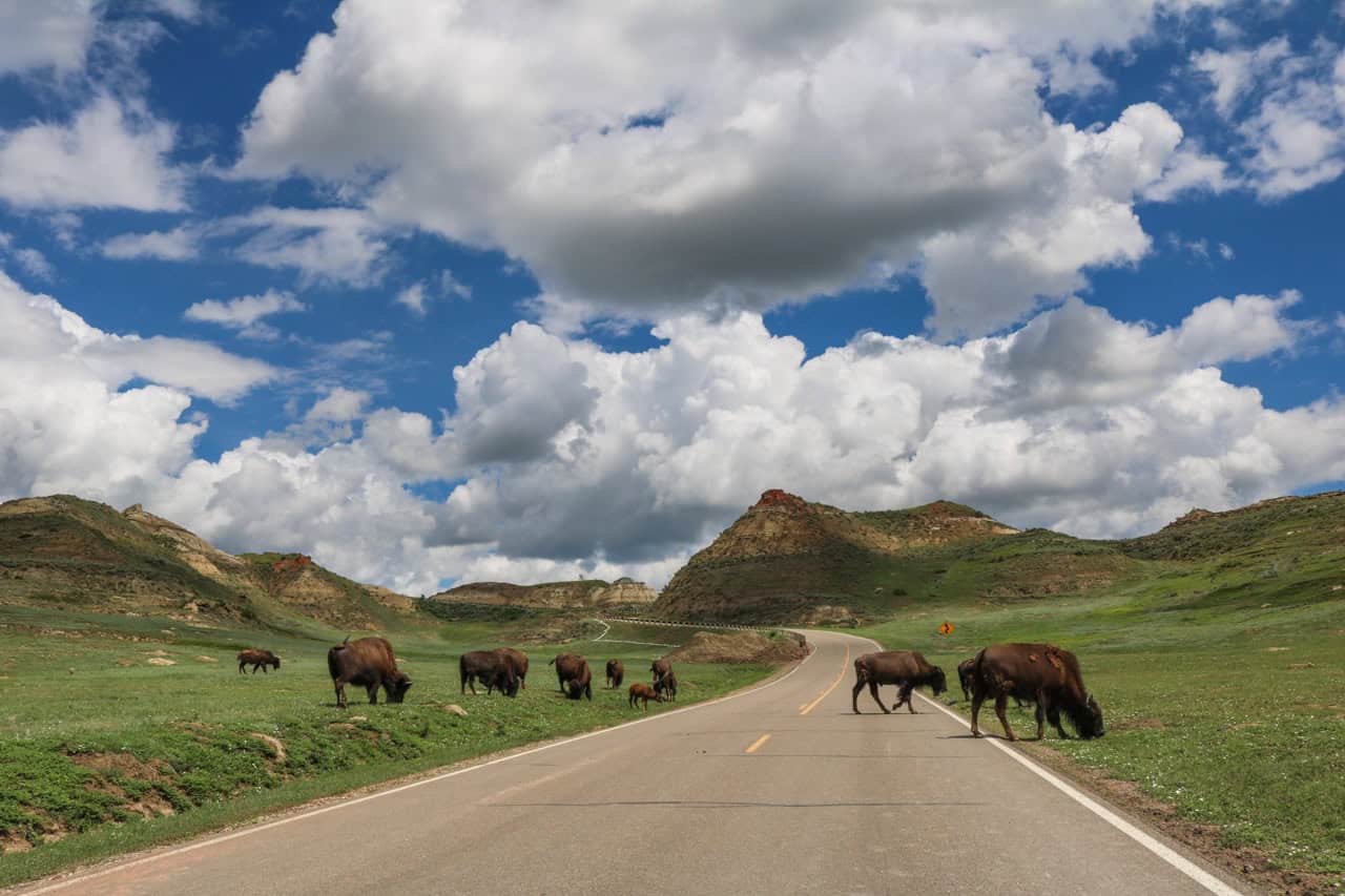 10 Things to See & Do in Theodore Roosevelt National Park, North Dakota