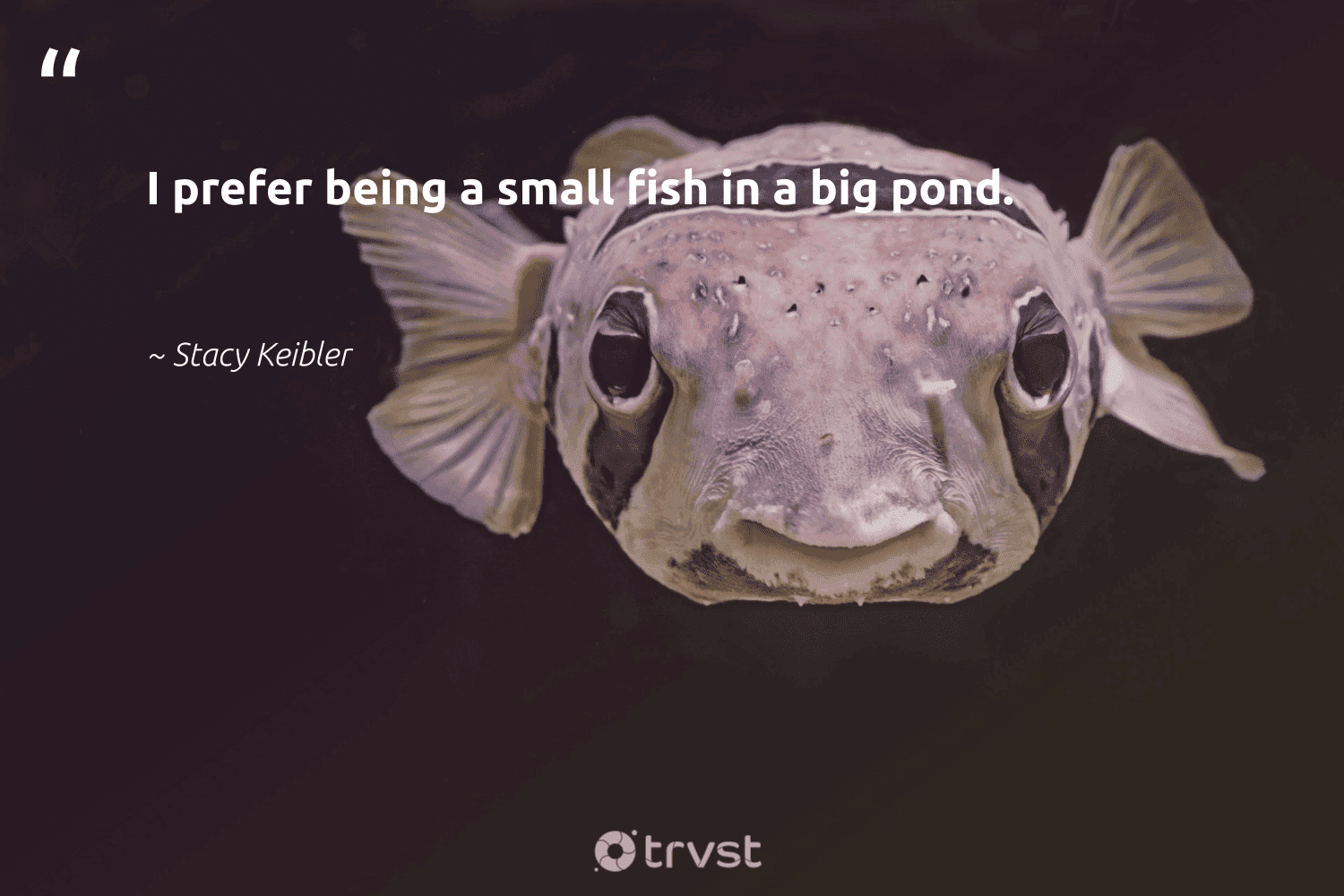 Big Fish Book Quotes - Quotes About Big Fish 91 Quotes : A glass of ...