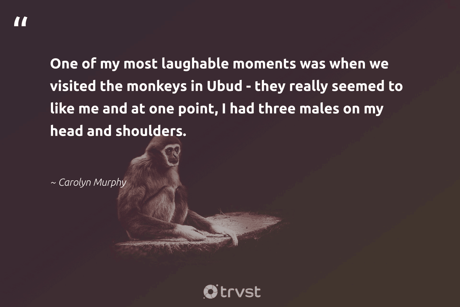 30 Monkey, Ape & Orangutan Quotes