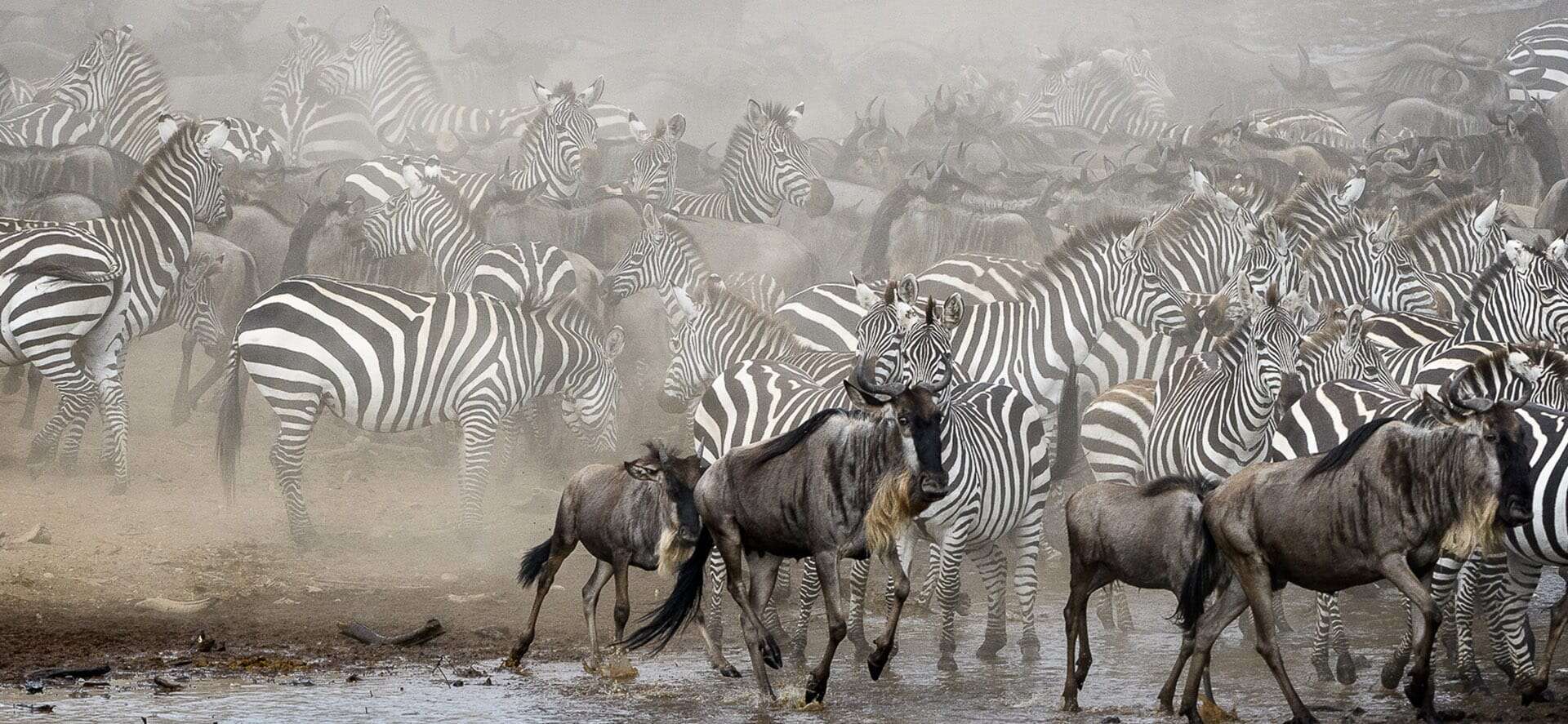 The Great Wildebeest Migration Map - Chalo Africa