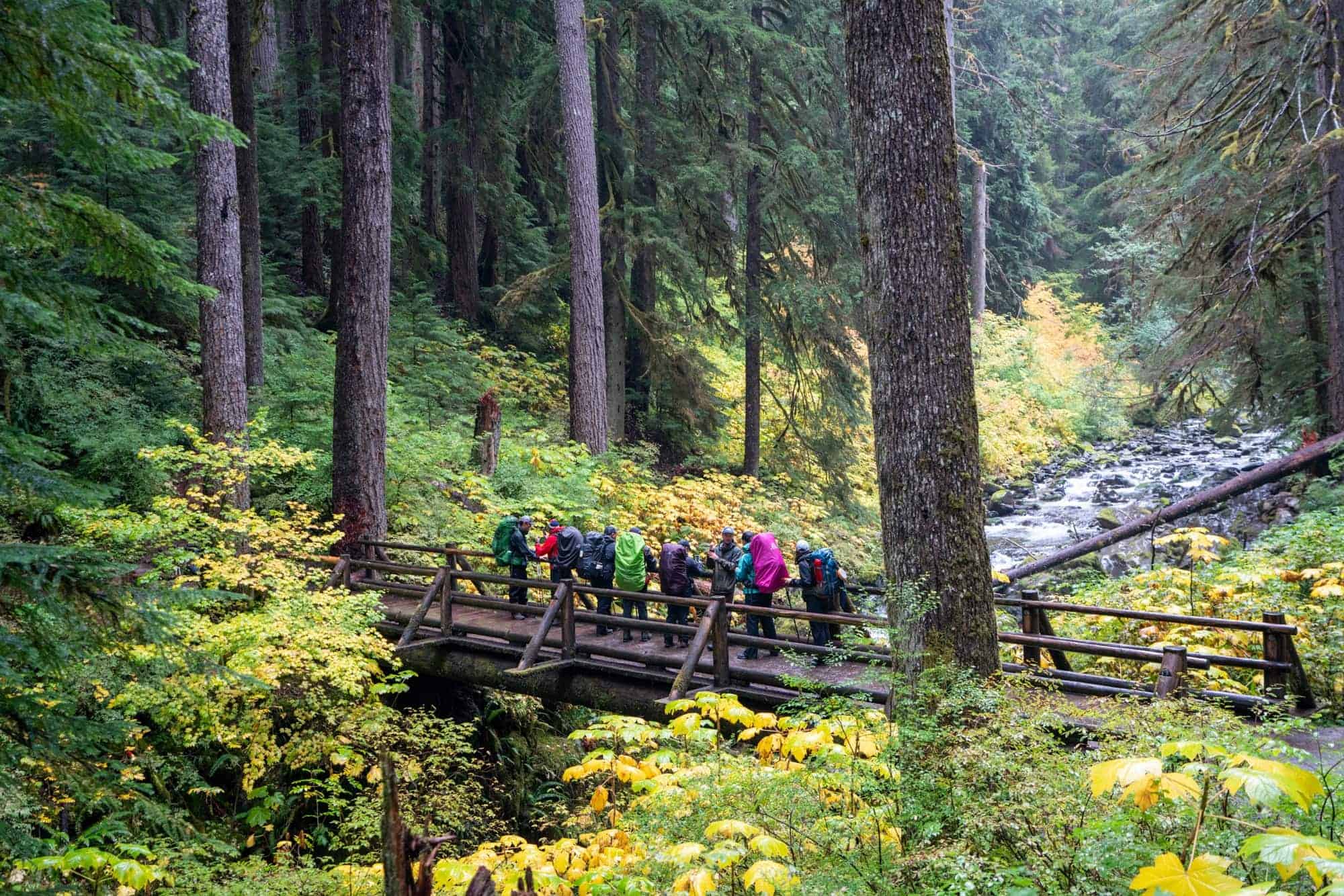 Backpacking the High Divide Trail in Olympic National Park with REI ...