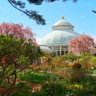 The Ultimate Guide to Universal Orlando for Families