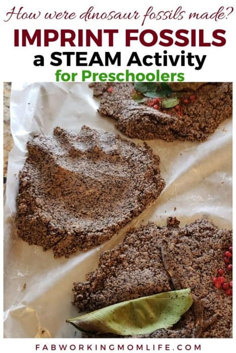 Making Fossils Preschool STEM Activity - Fab Working Mom Life