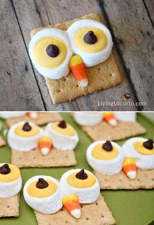 Owl S'mores | Fun Food Fall Party Recipe for Kids