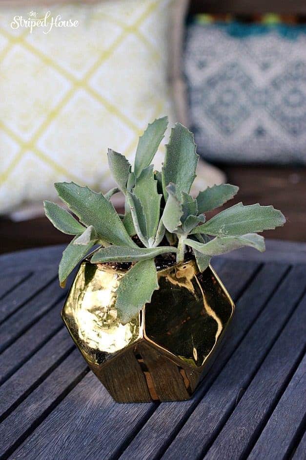 PATIO TOUR: BACKYARD TREE DECK - The Striped House