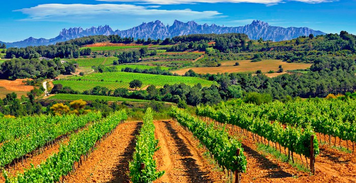 Wine Tasting The Penedes Wine Region of Spain • Winetraveler