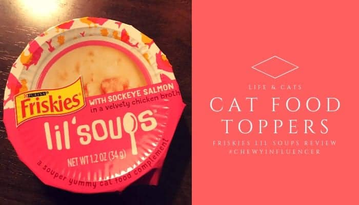 Cat Food Toppers and Treats: Friskies Lil' Soup Review - Life & Cats