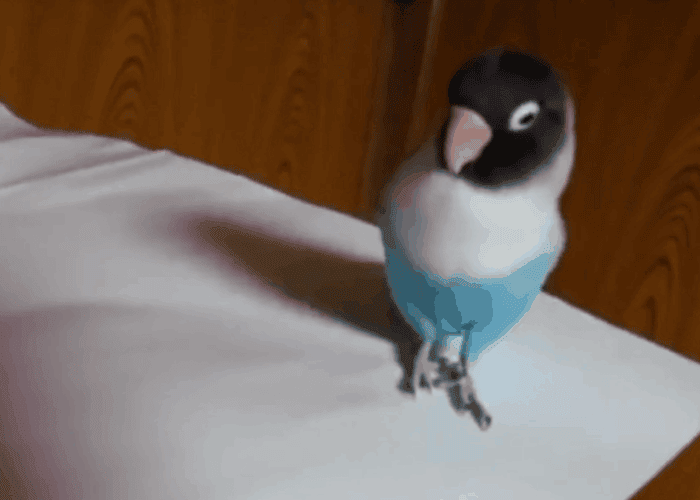 Irish Humor Archives - Irish Around The World